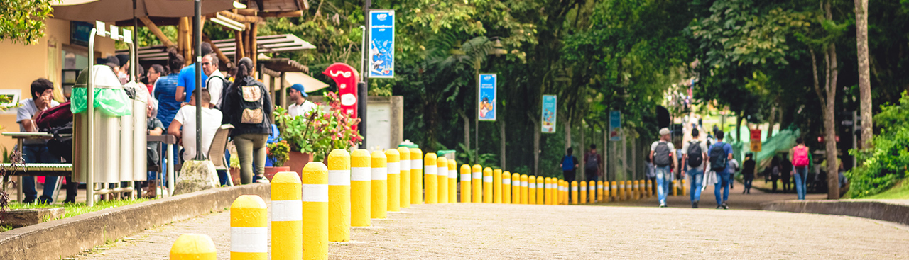 Online UTP :: Online UTP